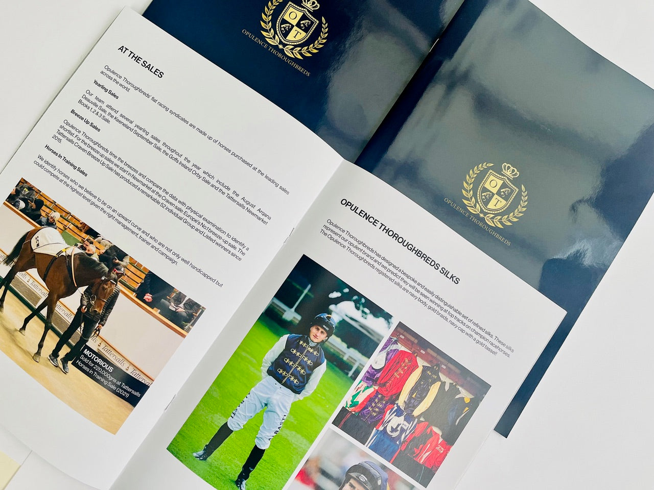 Brochures - Sentio Marketing